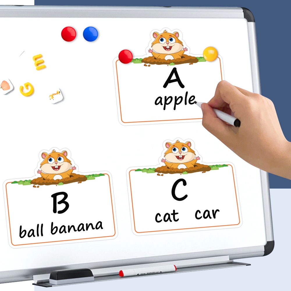 Children Hamster Written Blank Card Rewrittable Board Kids Words Card ...