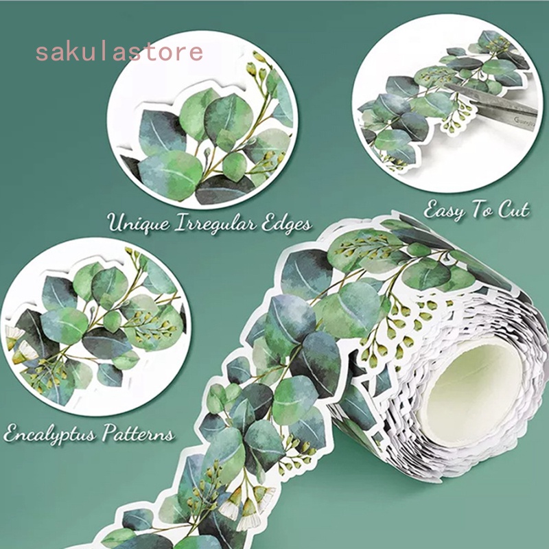 1Roll Eucalyptus Border Bulletin Board Stickers for Classroom Bulletin ...