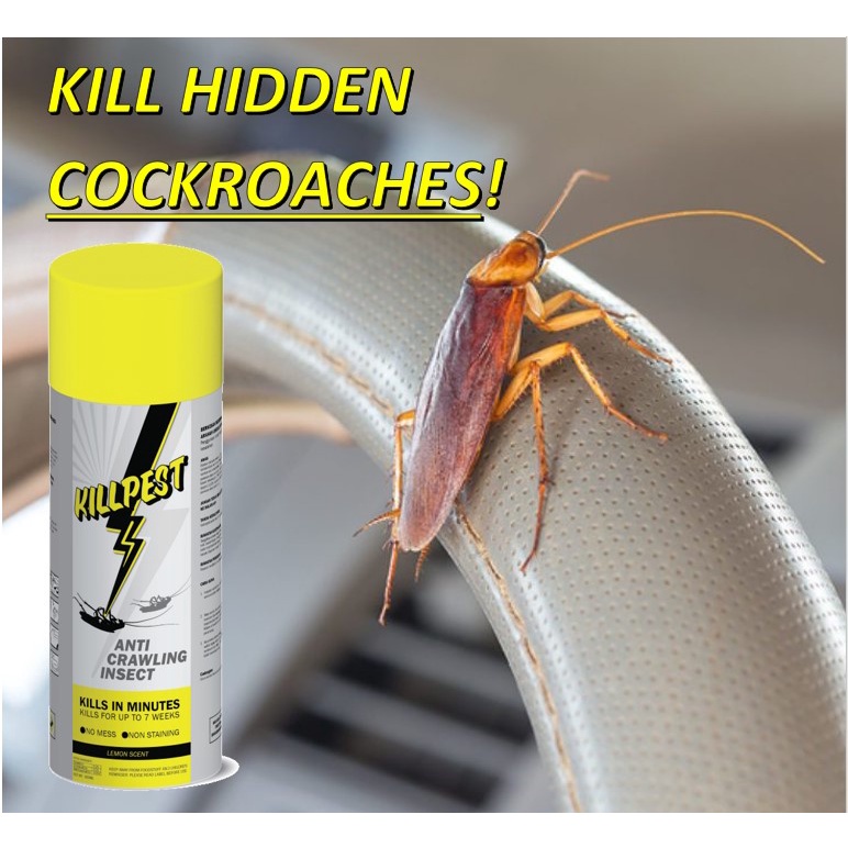 Killpest, Insect Killer spray Lipas, Nyamuk, Semut, Lipas, Cockroach ...