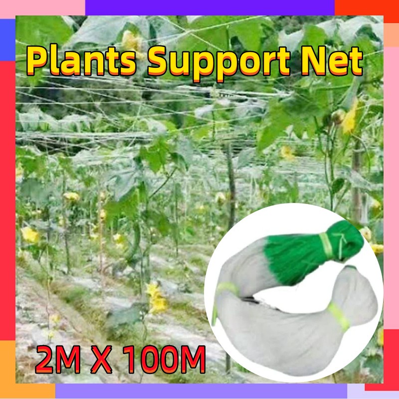 2M X 100M Cucumber Mesh Net Trellis Climbing Plants Support Garden Net Mesh Netting Planting ...