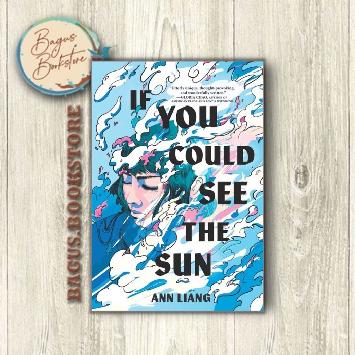 If You Could See the Sun - Ann Liang (English) | Shopee Malaysia