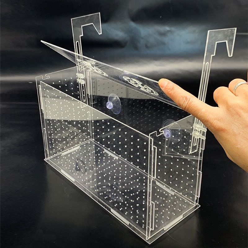 Acrylic Isolation Box Hanging Suction Type Quarantine Box Fish Shrimp ...