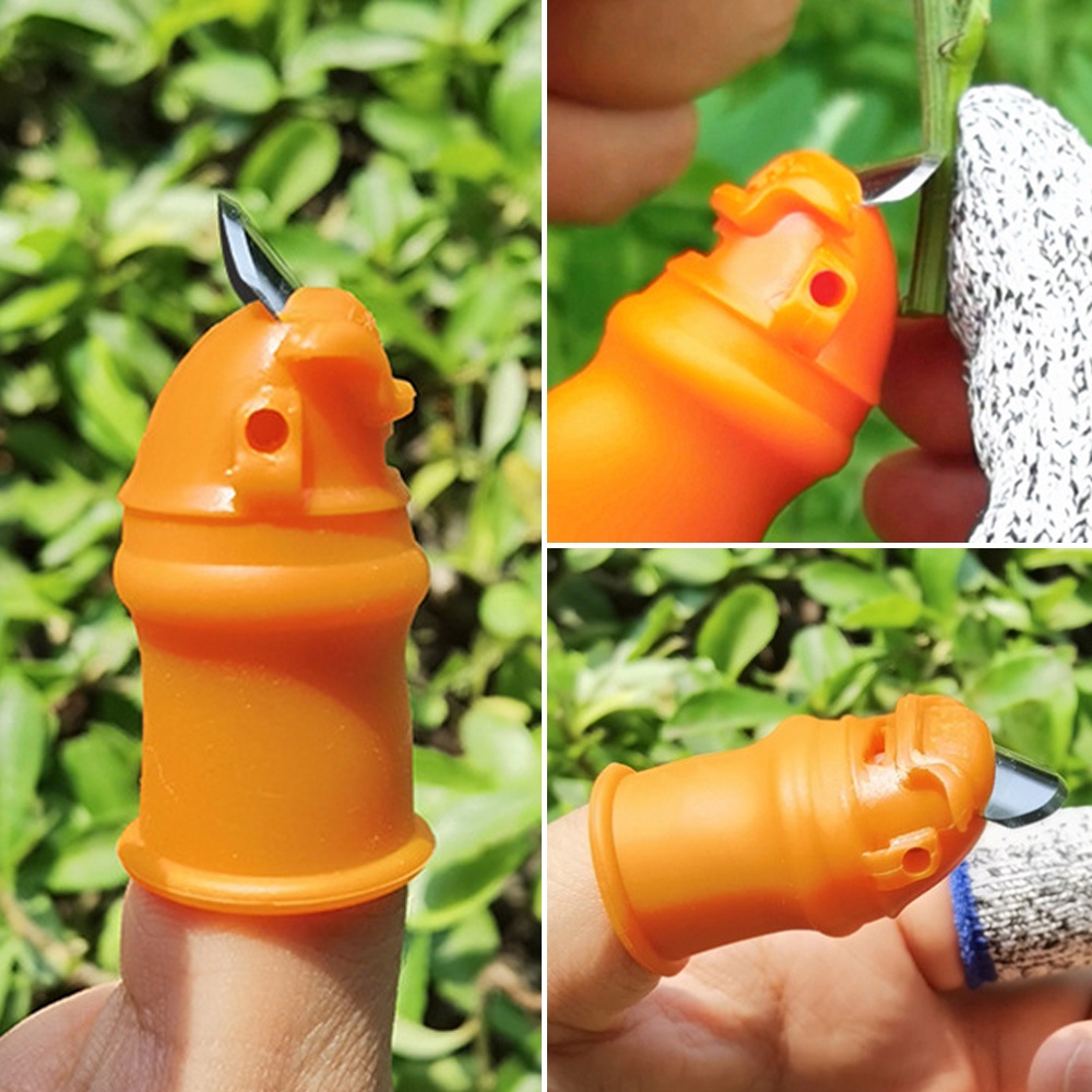 HOT Farm Vegetable Fruit Picker Pickle Pepper Pickle Tip Picker Iron ...
