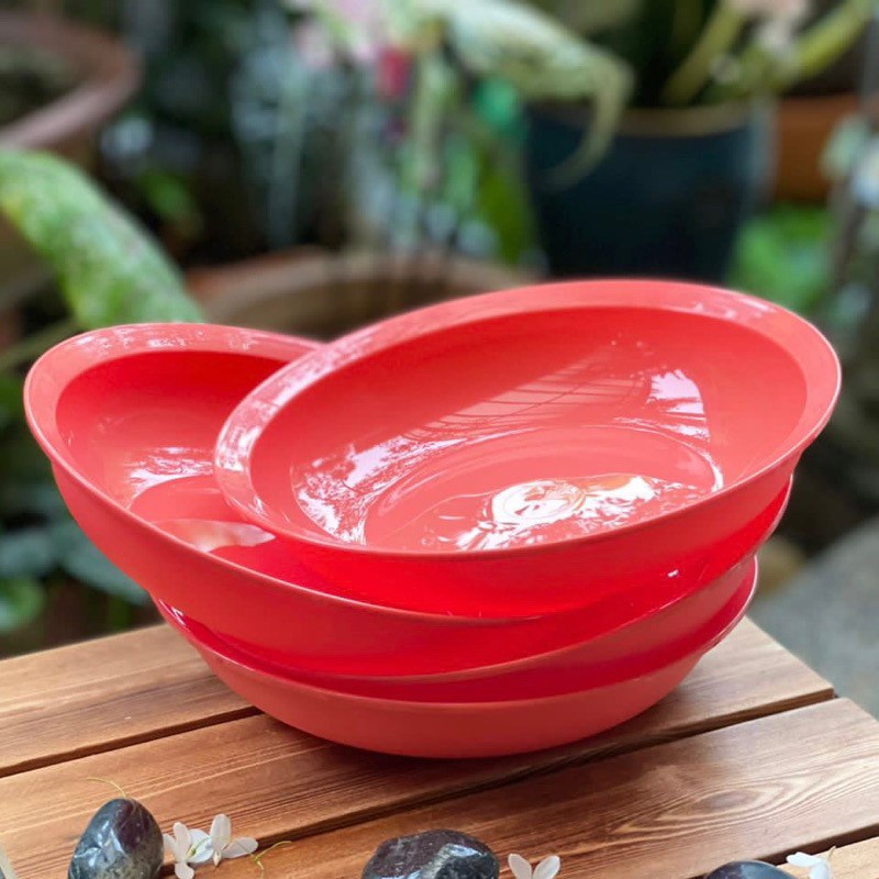 Tupperware Plate O Bowl/ Crescendo Plate 700ml/ Pinggan/ Plate ...
