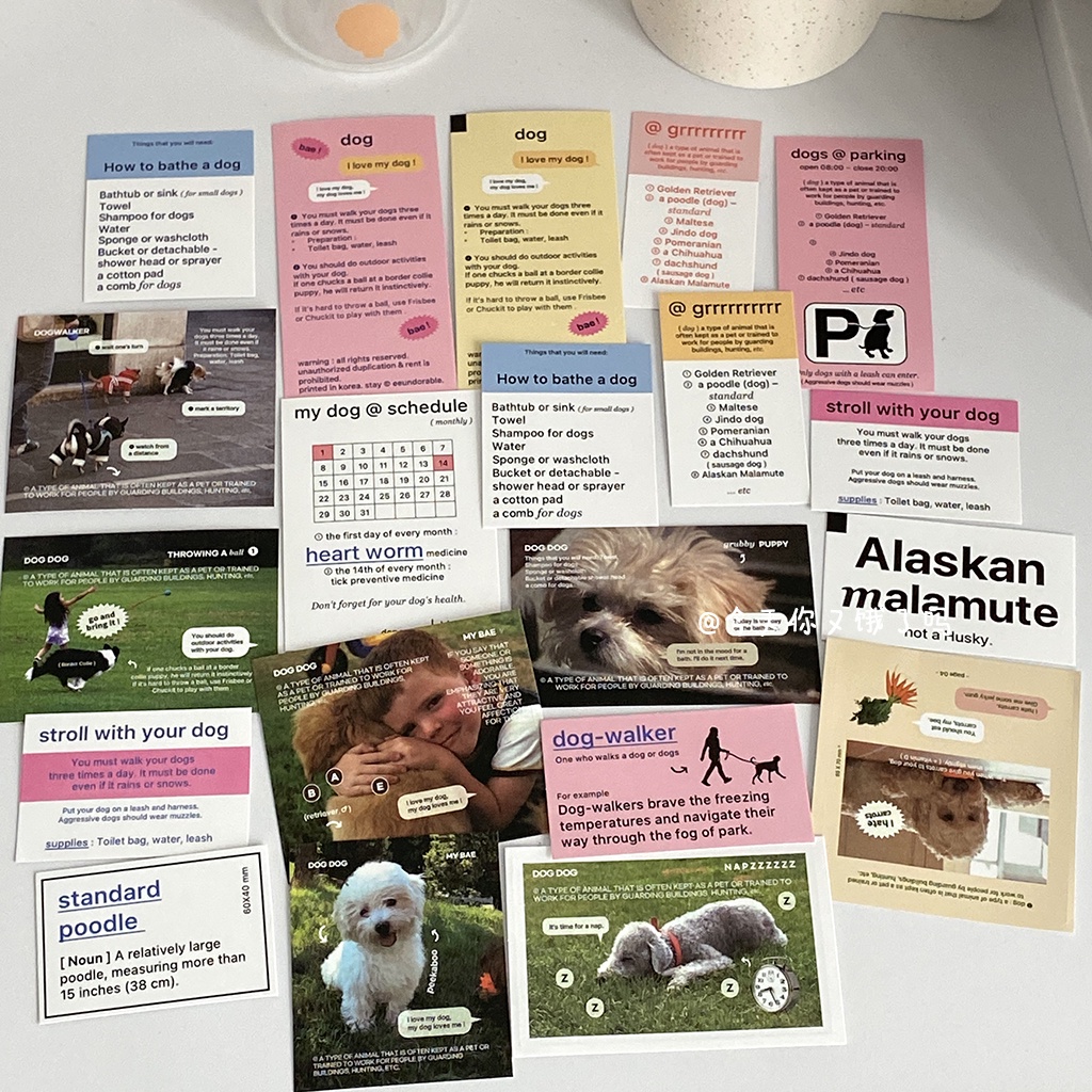 Boy And Puppy Sticker Pack Notes Physical Text Label Handbook Posing ...