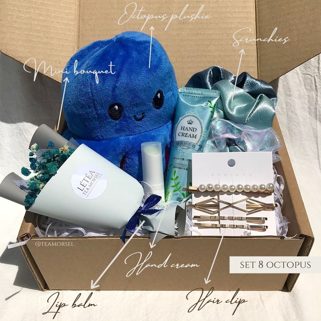 Surprise Gift Box Murah Octopus Plushie/Birthday/Ramadan/Friendship ...