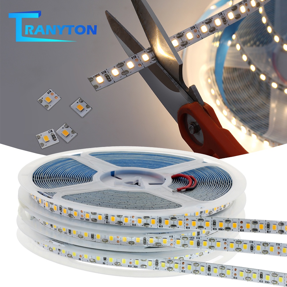 10M 20M DC24V LED Strip 2835 120led/m 10w/m High Brightness White/Warm ...