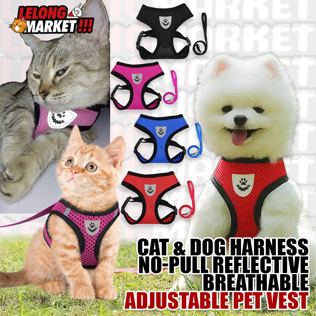 [Rantai Tali Kucing Panjang] Tali Kucing Berjalan Murah Pet Harness ...