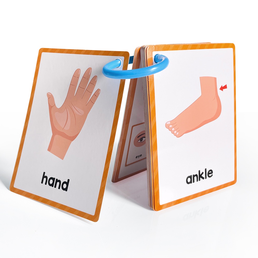 15 Cards Kids Educational Flash Cards Body Parts Vocabulary Words Cards ...