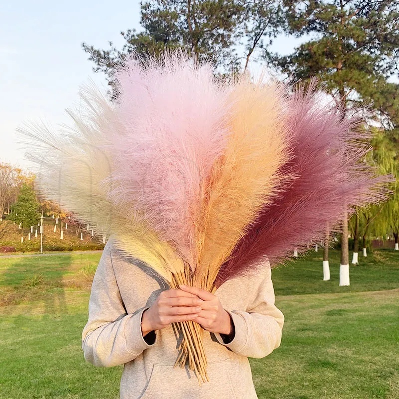 Artificial Fluffy Pampas Reed Bouquet / Simulation Reeds Boho Backdrop ...
