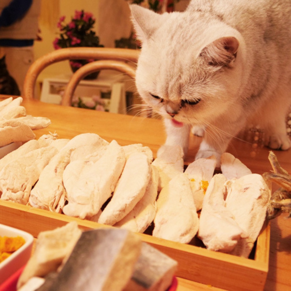High Protein Cat Booster Freeze Dried Cat Treats/ Snack Makanan Ringan ...