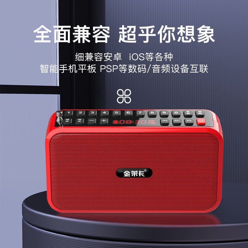 Wireless Speaker Bluetooth Speaker FM Radio Speaker Rechargeable USB ...