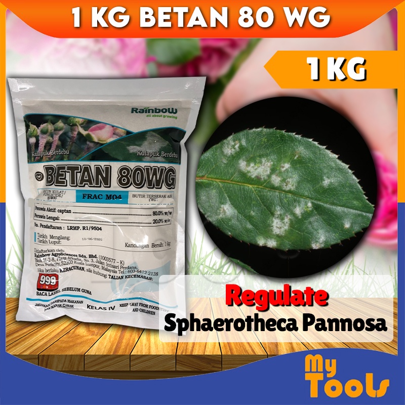 Mytools 1KG Betan 80 WG (Kulapuk Berdebu / Pokok Ros) | Shopee Malaysia