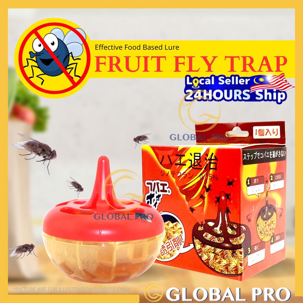Fruit Fly Traps Lure Attractant Flying Insect Sticky Killer Catcher ...
