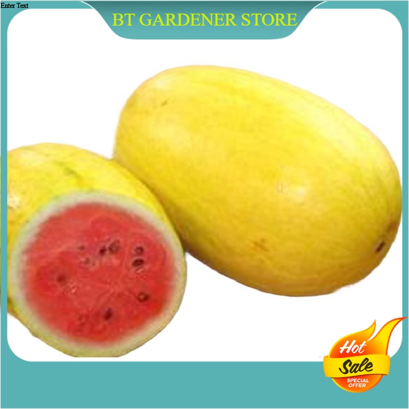 10pcs Biji Benih Tembikai Merah Kulit Kuning Watermelon Seeds Rare Seed ...