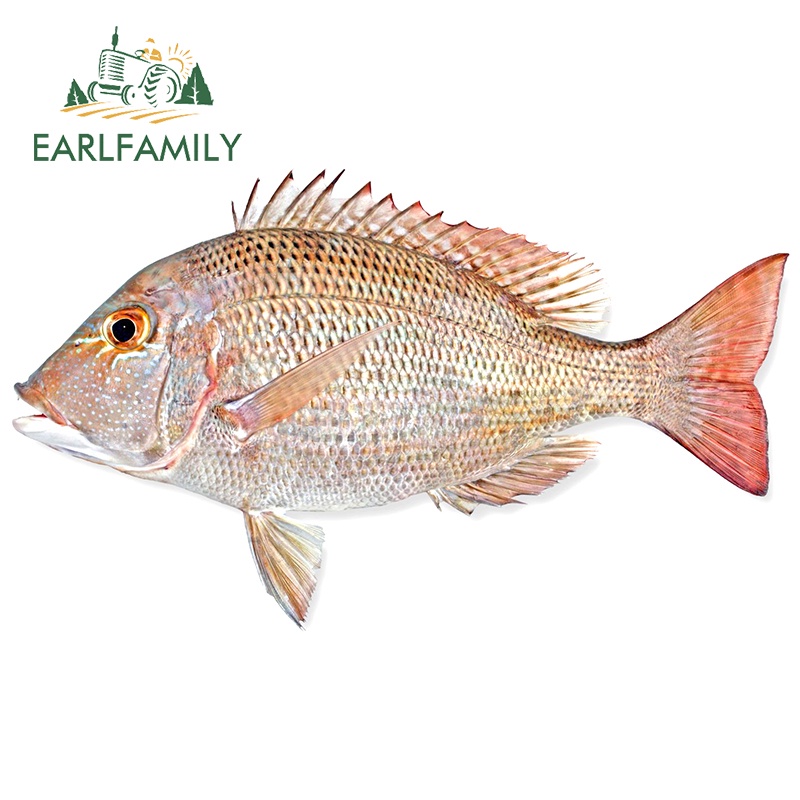 EARLFAMILY 13cm x 7.7cm for Snapper Fish Waterproof Car Assessoires ...