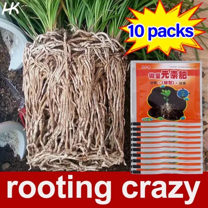 crazy rooting rooting king powder penggalak akar pokok rooting powder ...