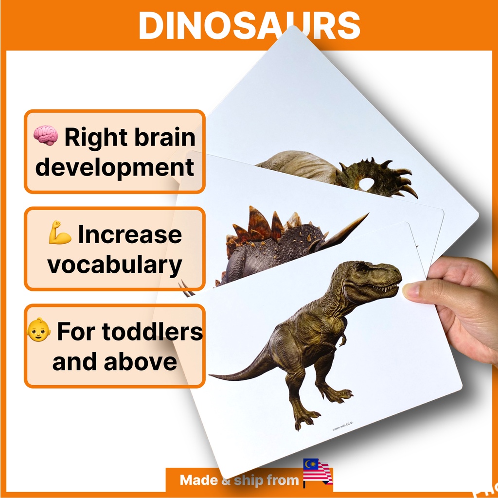 Dinosaurs Flash Cards for Kids, Baby, Big Flash Card, Flashcard ...