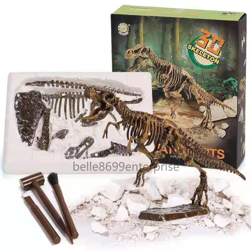 3D Fossil Jurassic Bones Dinosaur Skeleton Excavation Kits Fun Dig ...