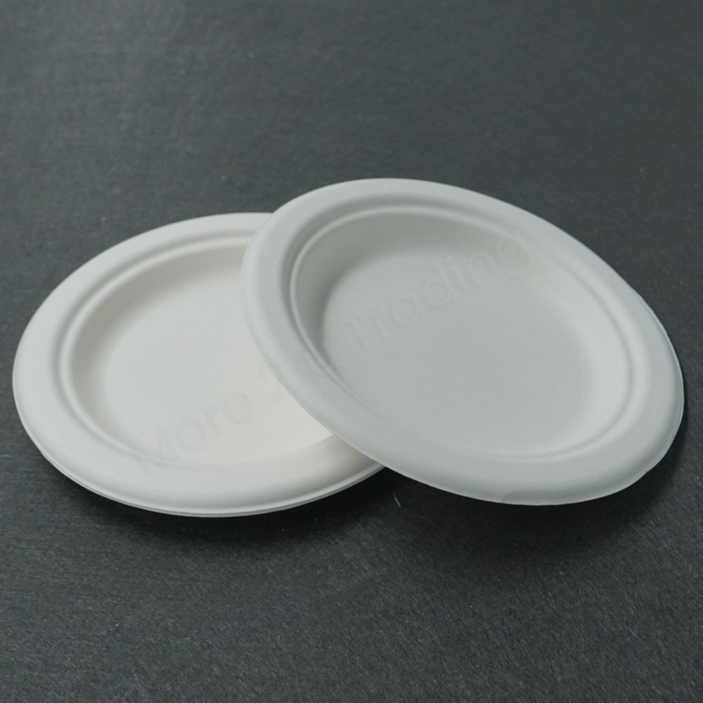 [50 pcs] Natural Bio Degradable Disposable Round Plate / Bio Pinggan ...