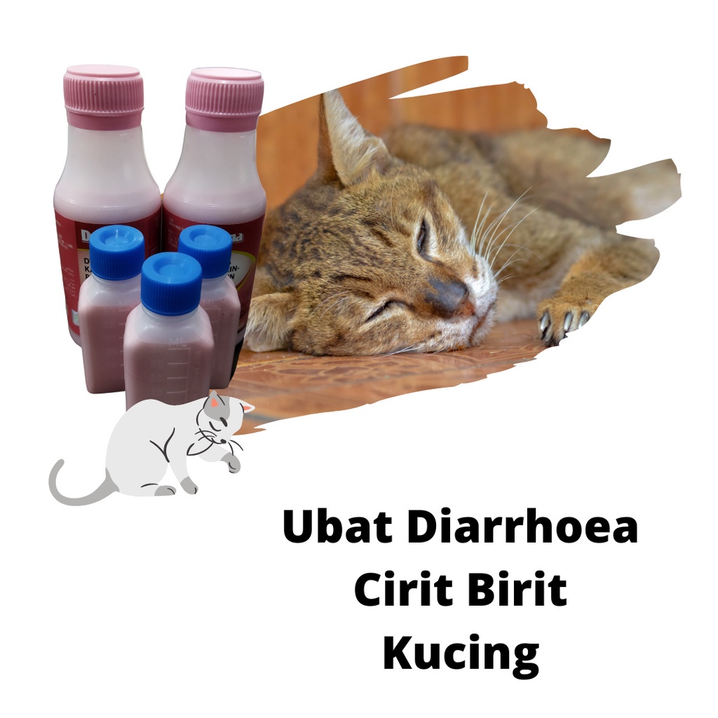 (PERCUMA PICAGARI) KaoPec Kaolin Pectin (30ml) - Melegakan cirit-birit ...