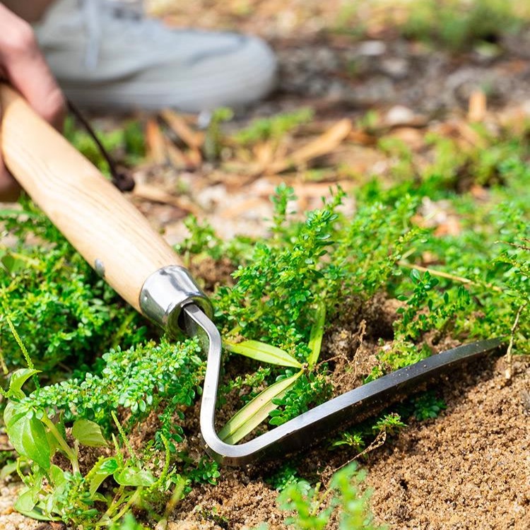 TAJAK / KERI / PISAU KRI / SABIT PENGGALI TANAH / POTONG RUMPUT ...