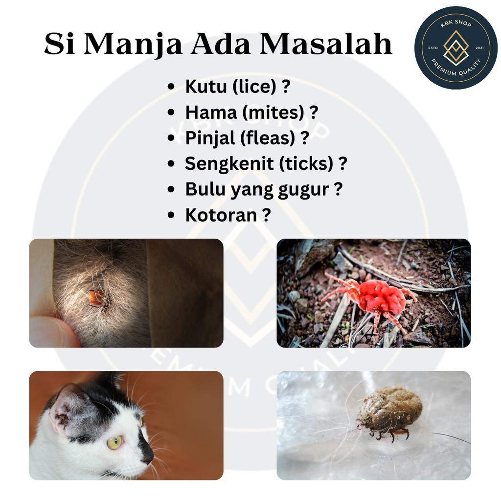 Sikat Kutu Kucing Rapat Besi Sisir Cat Lice Comb Flea Tick 猫梳子跳蚤 ...