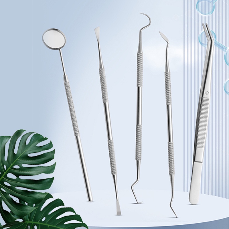 Dental Mirror Stainless Steel Probe Oral Cleaning Tooth Care Kit ...
