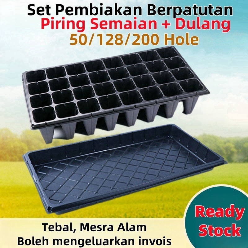 Seedling Tray Tray Semaian 50 128 Holes Bekas Semaian 54*28*5cm Plant ...