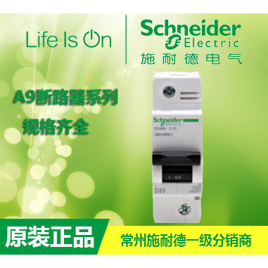[Original Authentic] Schneider High Current Small Circuit Breaker C120H ...