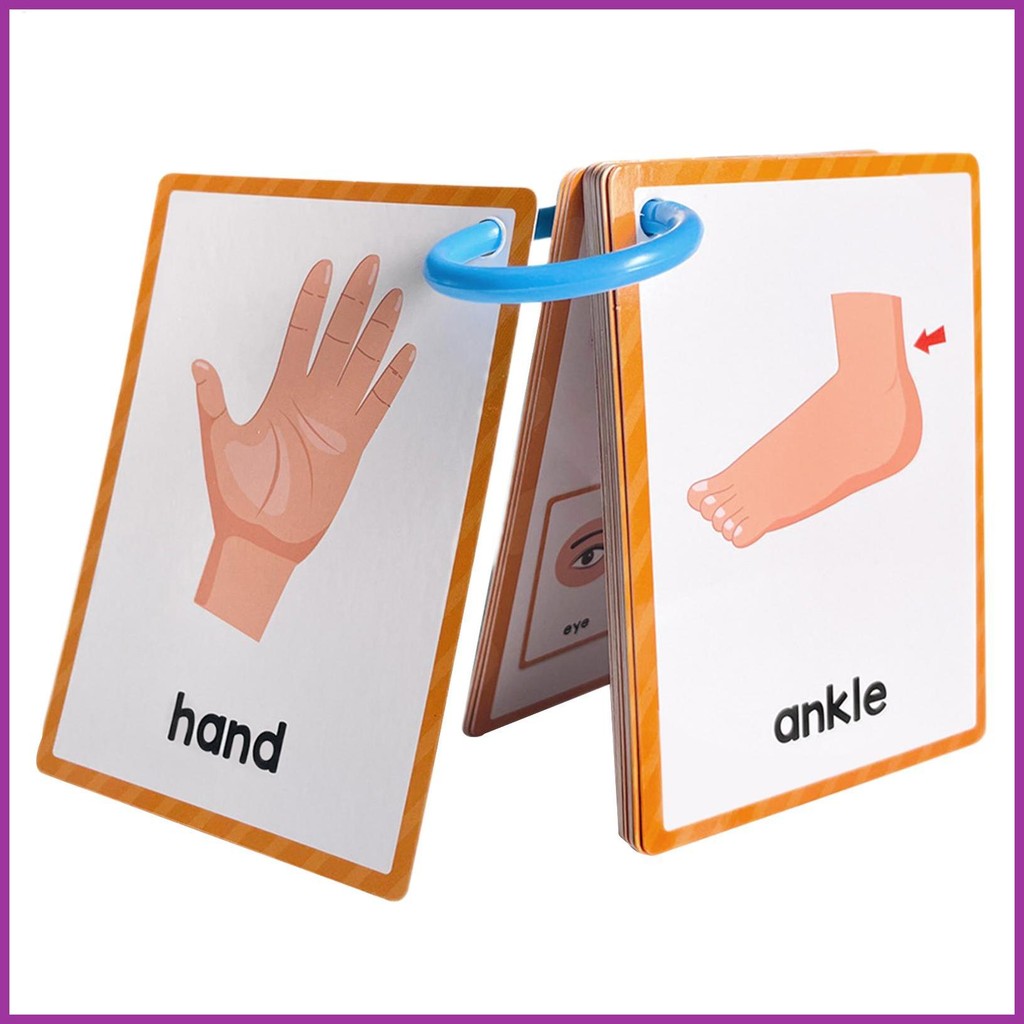 Body Parts Flash Cards 15Pieces English Flash Card Body Parts Pocket ...