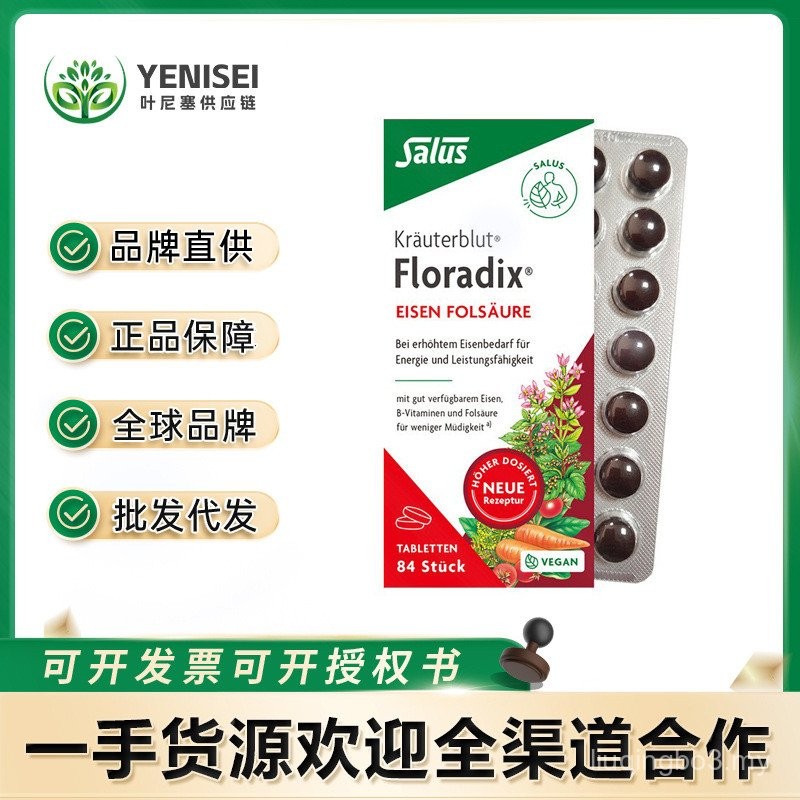 SG Iron Salu-s Floradix German Red Iron Sheet Folic Acid Sheet 84 ...