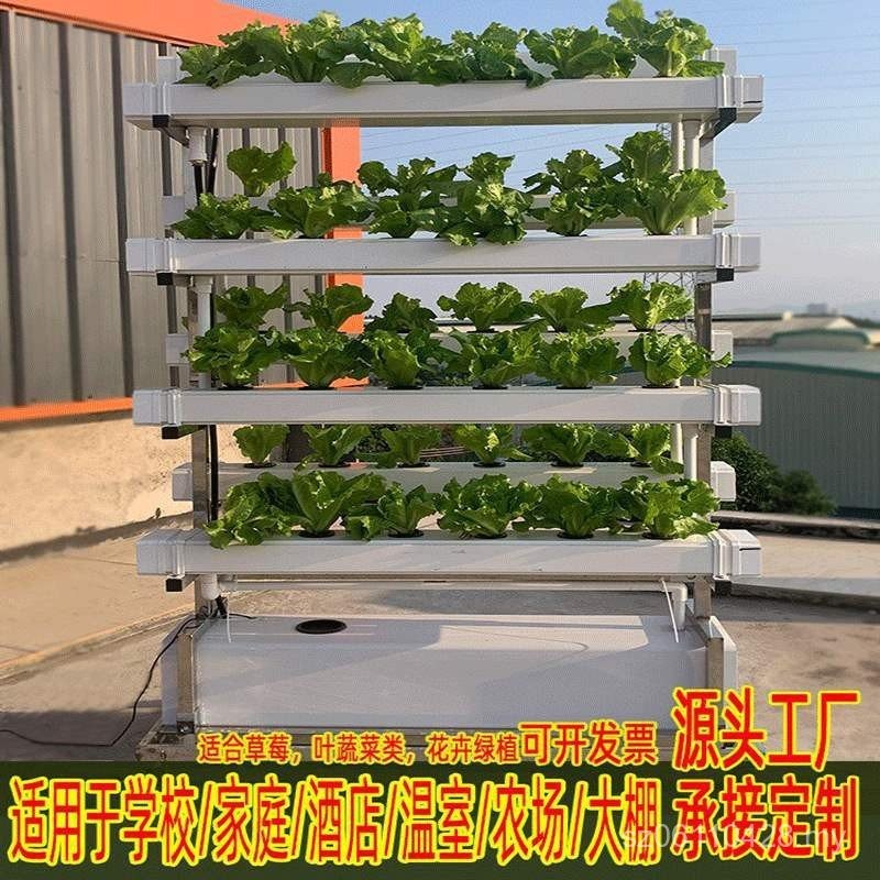 NFT Soilless Cultivation Vegetable Strawberry Planting Double-Sided ...