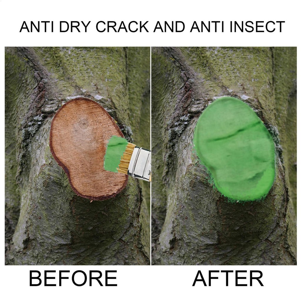 Tree Wound Sealer Tree Wound Healing Sealant 500g Bonsai Wound Healing ...