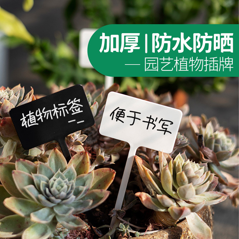 Plant Labels Insert Cards Gardening Succulent Labels Insert Cards Hot ...