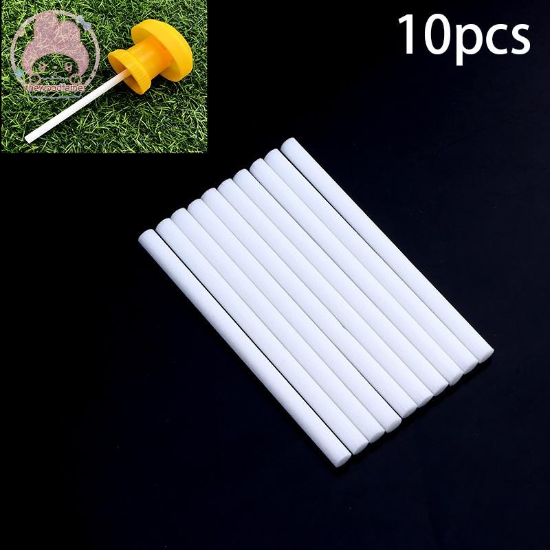 thewoodfamer 10Pcs Fruit Fly Trap Killer Drosophila Trap Lure Swab Fly ...
