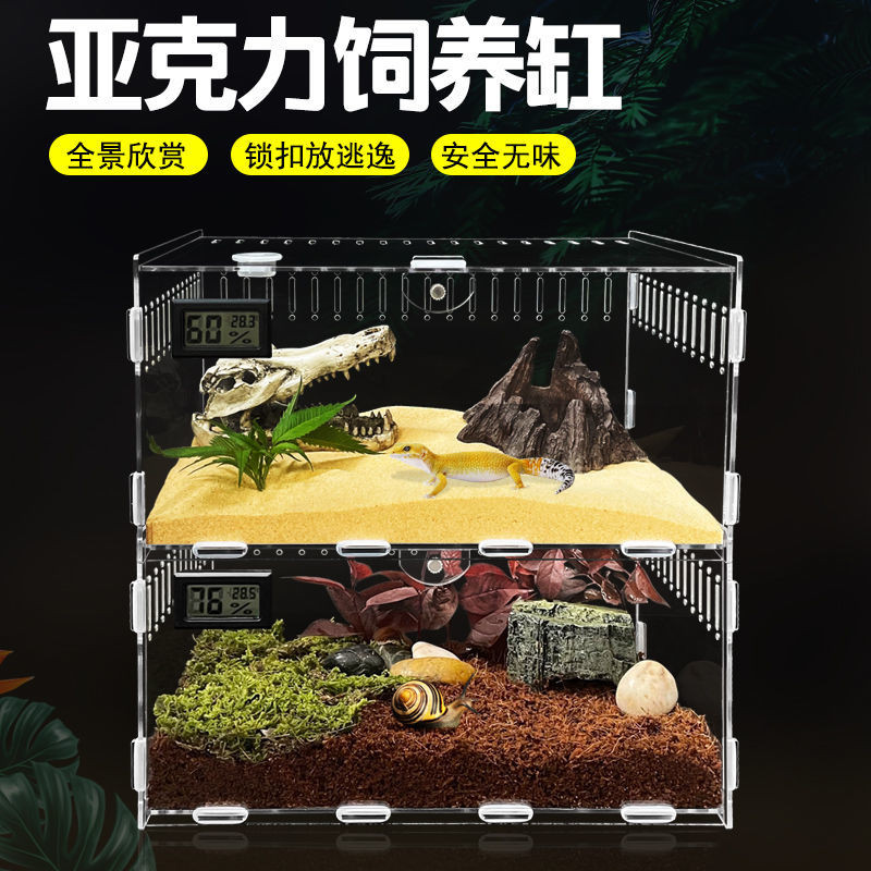 Reptilia Lutsinar Akrilik Pertapa Ketam Labah-labah Tokek Bertanduk ...
