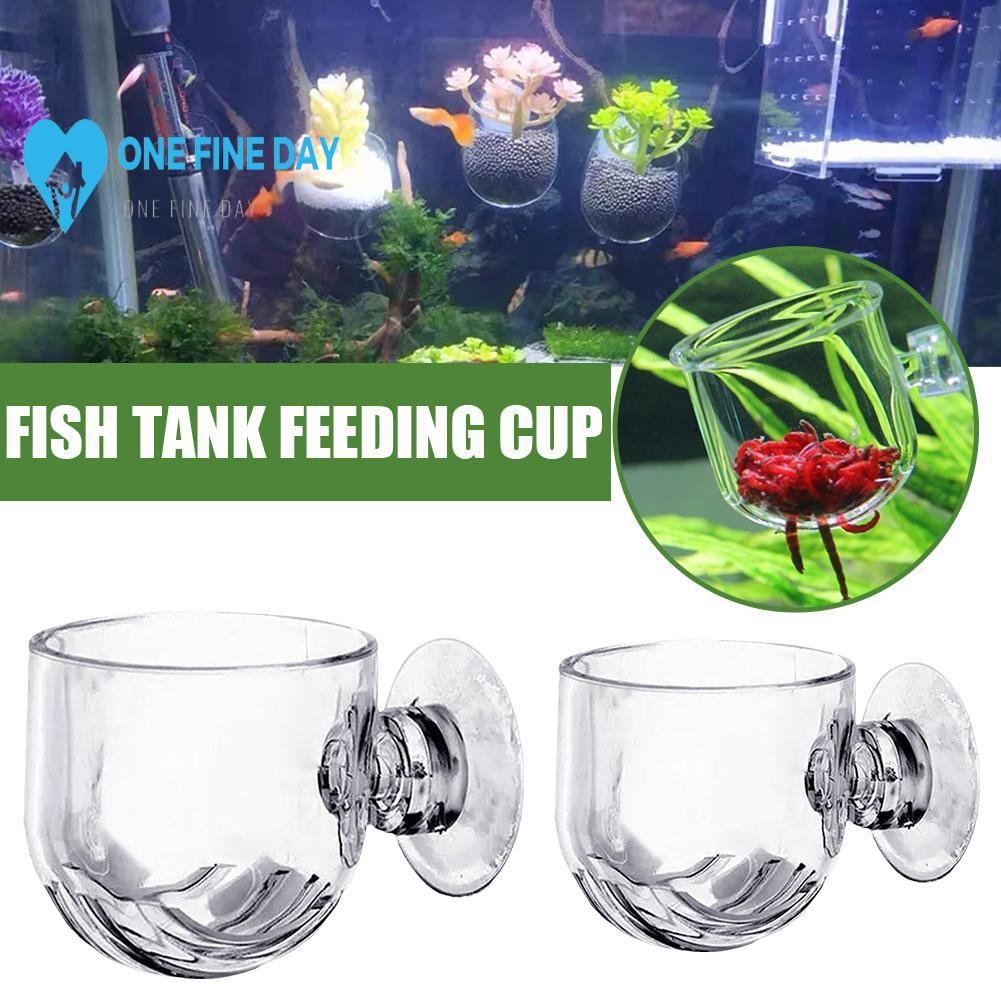 Fish Worm Funnel Feeder Feeding Circle Feeder Feeding Fish Feeder ...