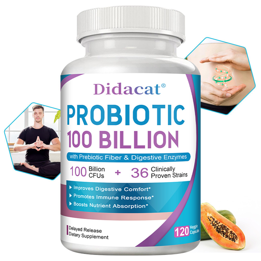 Didacat Probiotic 100 Billion Supplements - with Prebiotics and ...