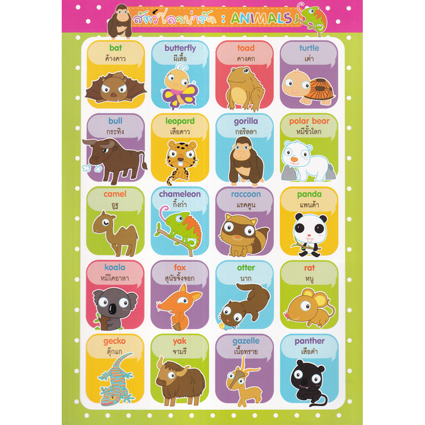 Cute World Animal A4 Micro Poster: Animals | Shopee Malaysia