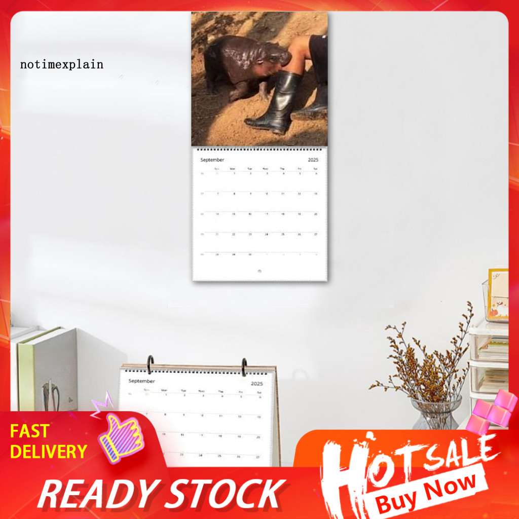 NTA Mu Deng Calendar 12-month Calendar with Animals 2025 Pygmy Hippo ...