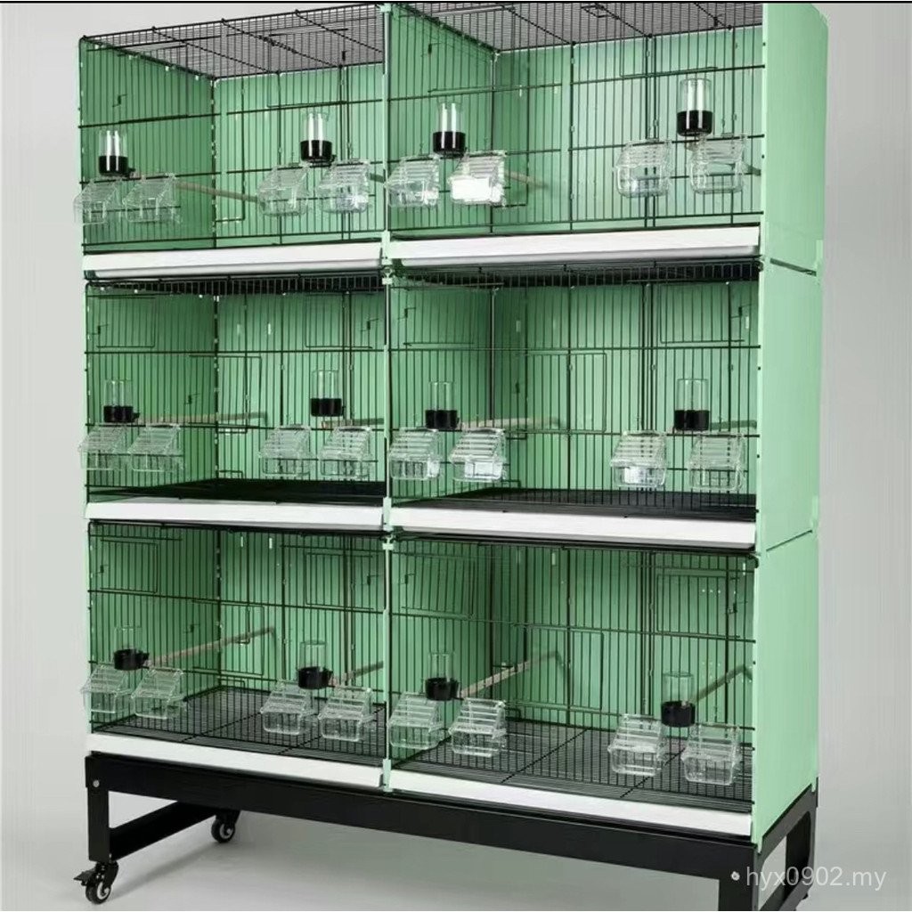 Big Golden Jade Birdcage New Style Canary Grey Swallow Hibiscus Golden ...