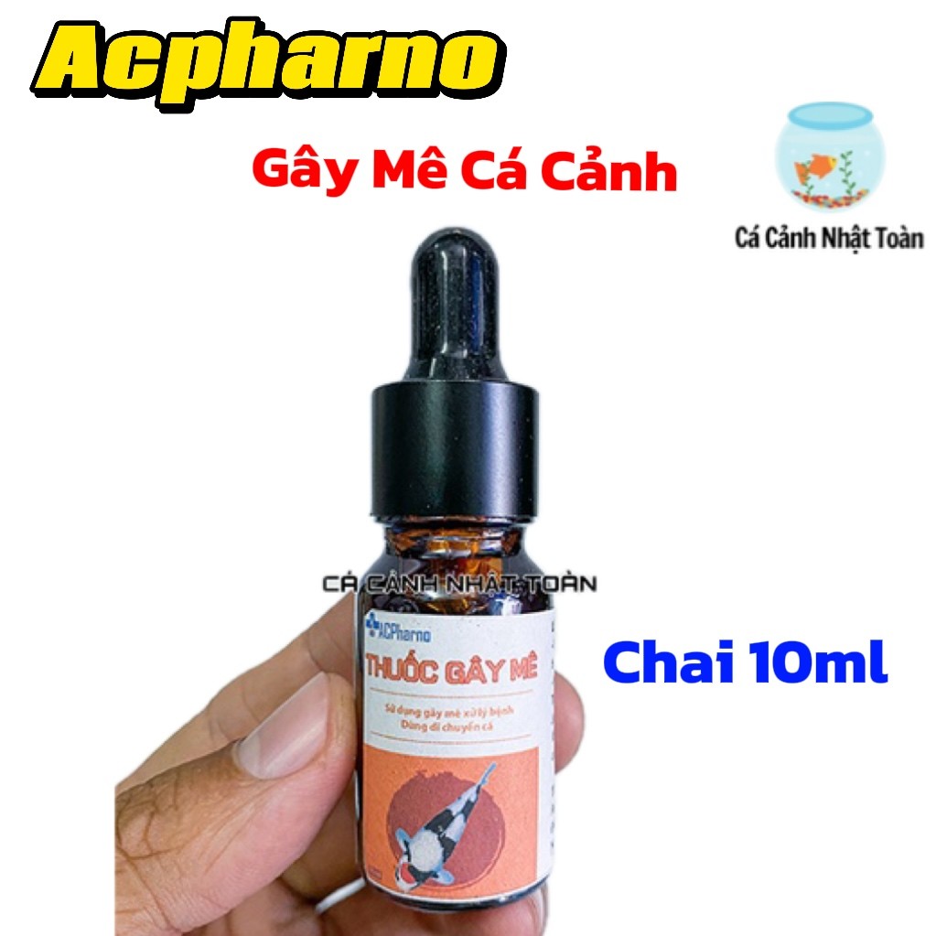 Product Helps Transport Arowana Fish, Koi Fish Long Distance, Health ...