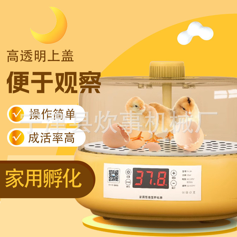Mini Egg Incubator Luding Chicken Automatic Incubator Chick Incubator ...