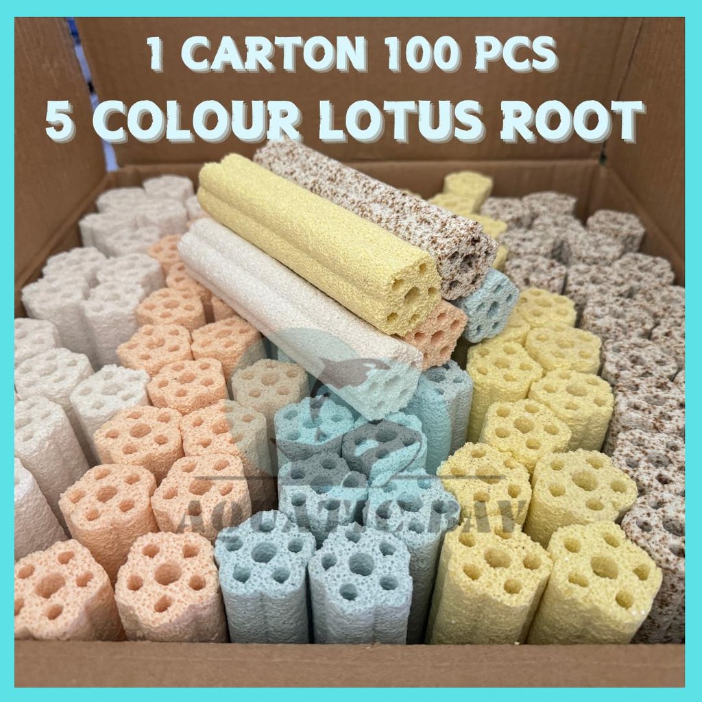 【100Pcs/Box】Nano Pillar Flower Plum Bacteria House Improve Water ...