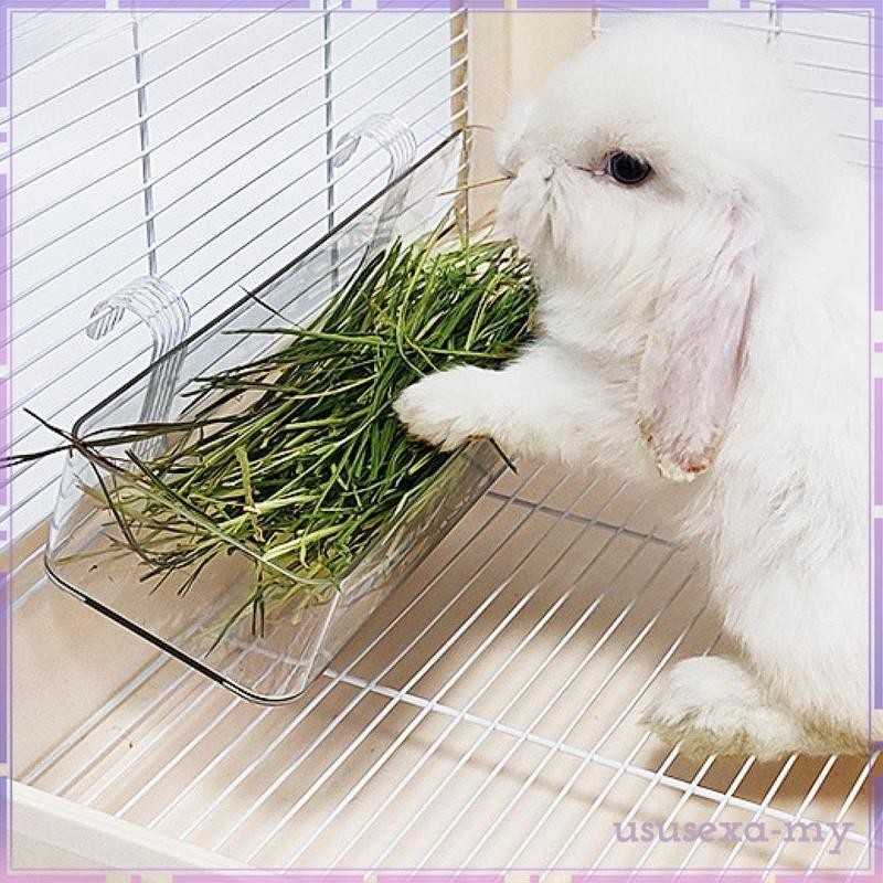 [UsusexaMY] Hanging Hay Feeder Rack Bunny Hay Feeder Guinea Pig for ...