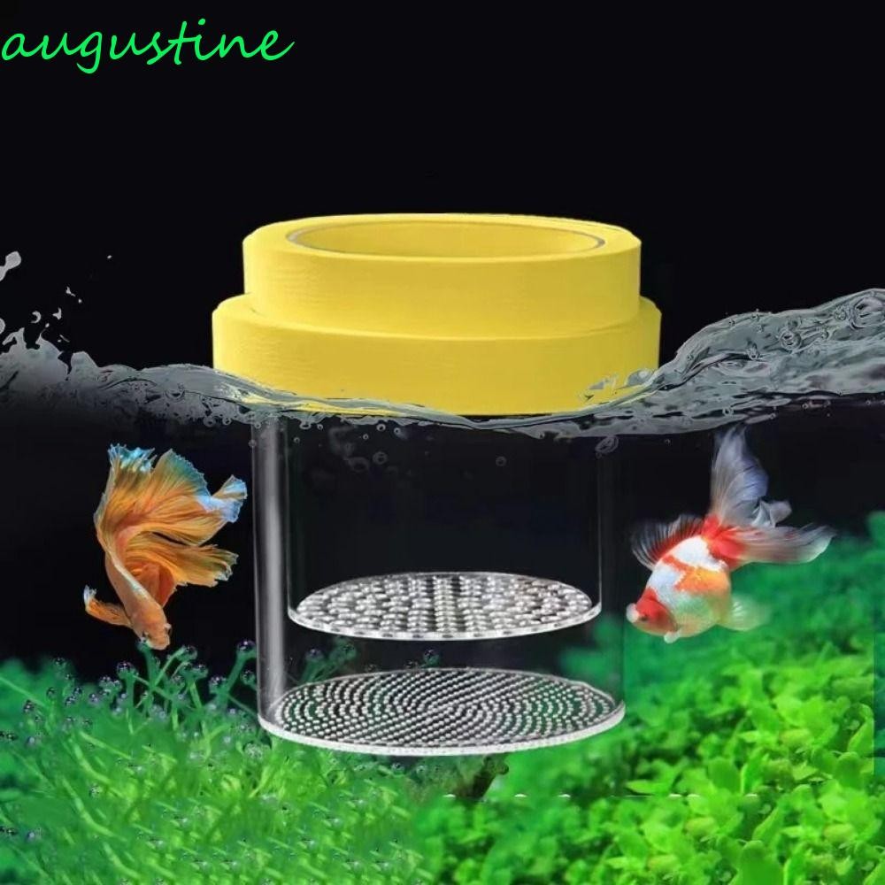 Guppy Breeding Box Aquarium Fish Breeding Box Fry Tank Hatchery Baby ...