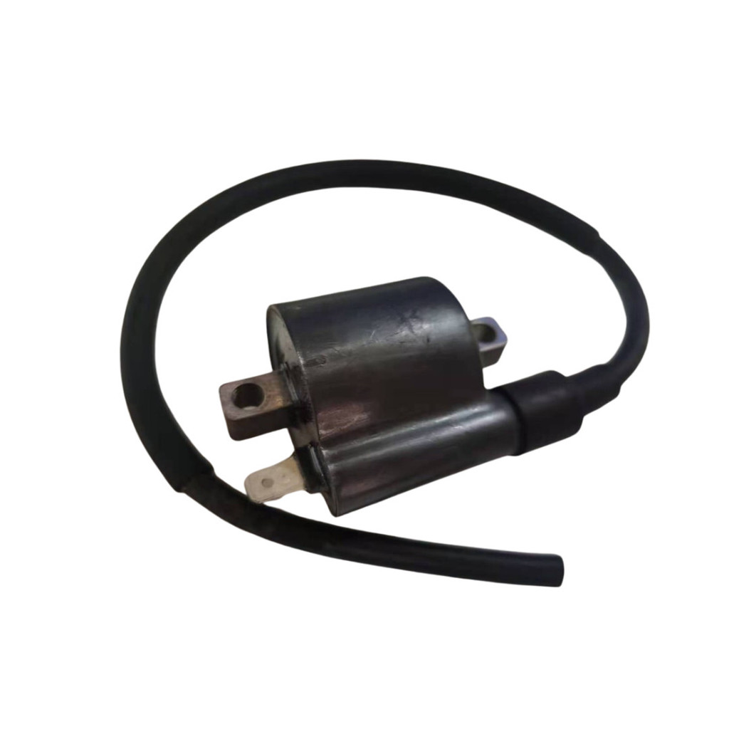 COIL ASSY, IGN - SUZUKI FX110 (33410-30D00-000) | Shopee Malaysia