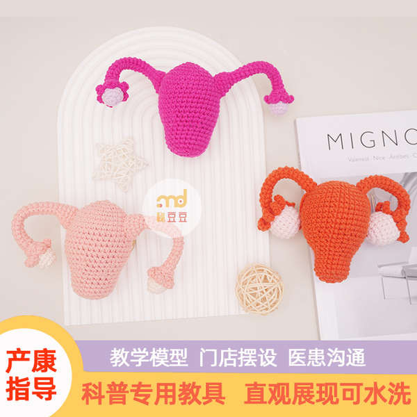 human body model anatomy physiology Knitted Uterus and Ovary Teaching ...