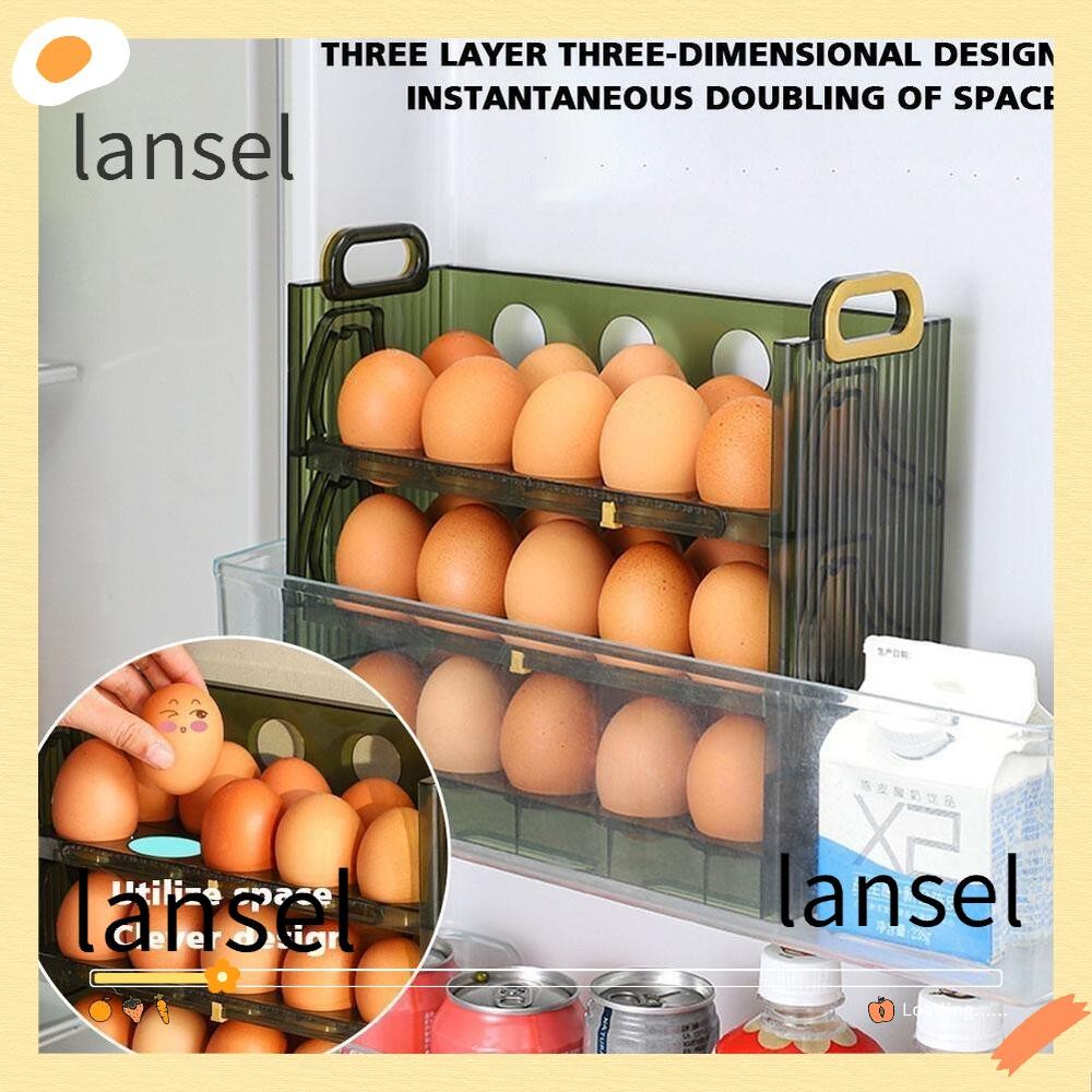 LA Egg Tray 30/20 Grid Storage Rack Preservation Box Refrigerator Side ...